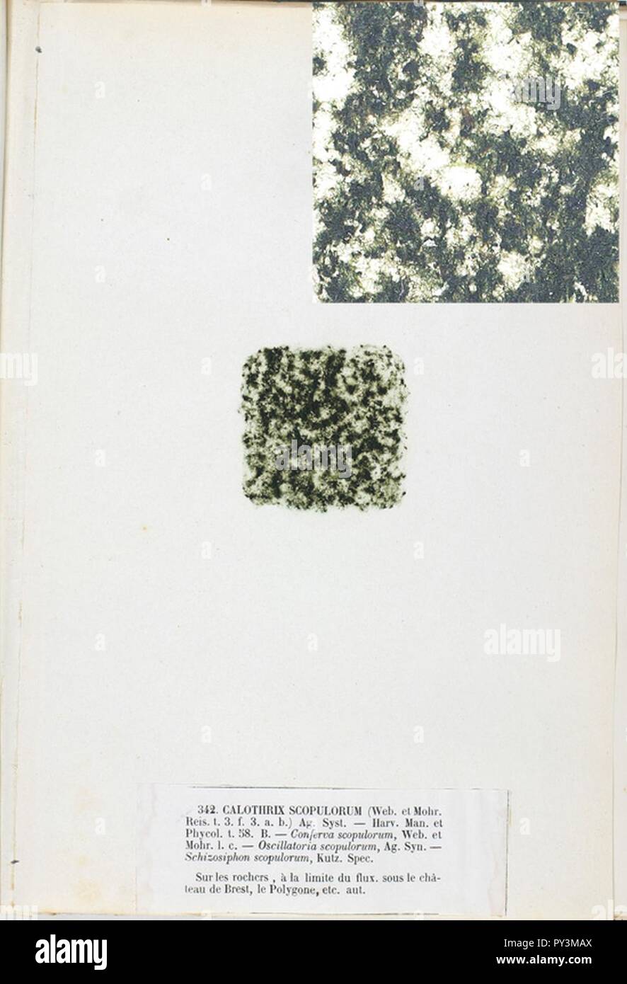 Crouan the history collection hi-res stock photography and images - Alamy