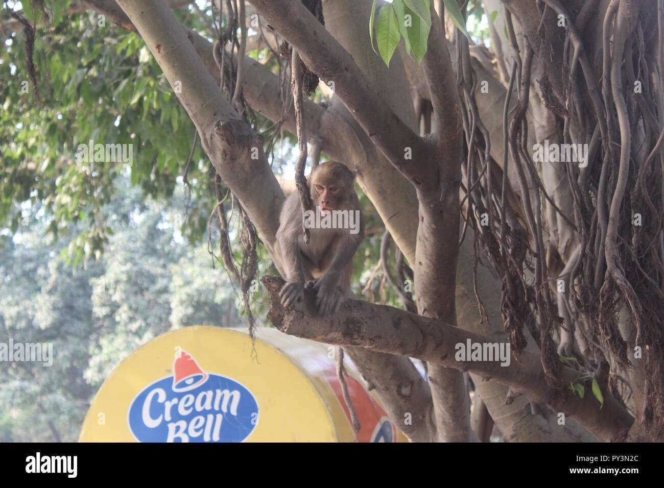 Fort images download hi-res stock photography and images - Alamy