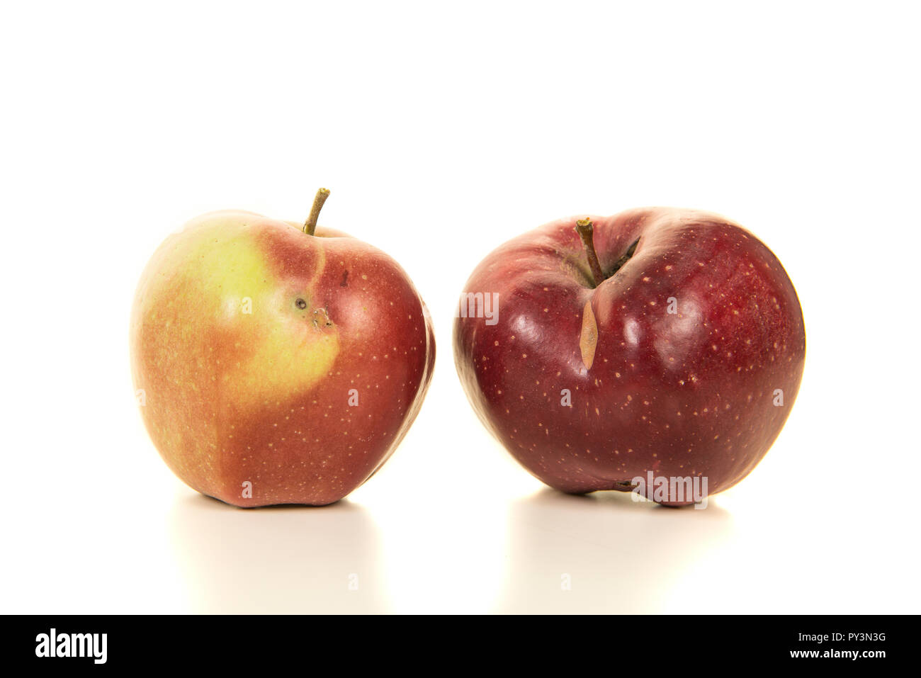 Two biological, organic, red apples with some small faults on a white ...