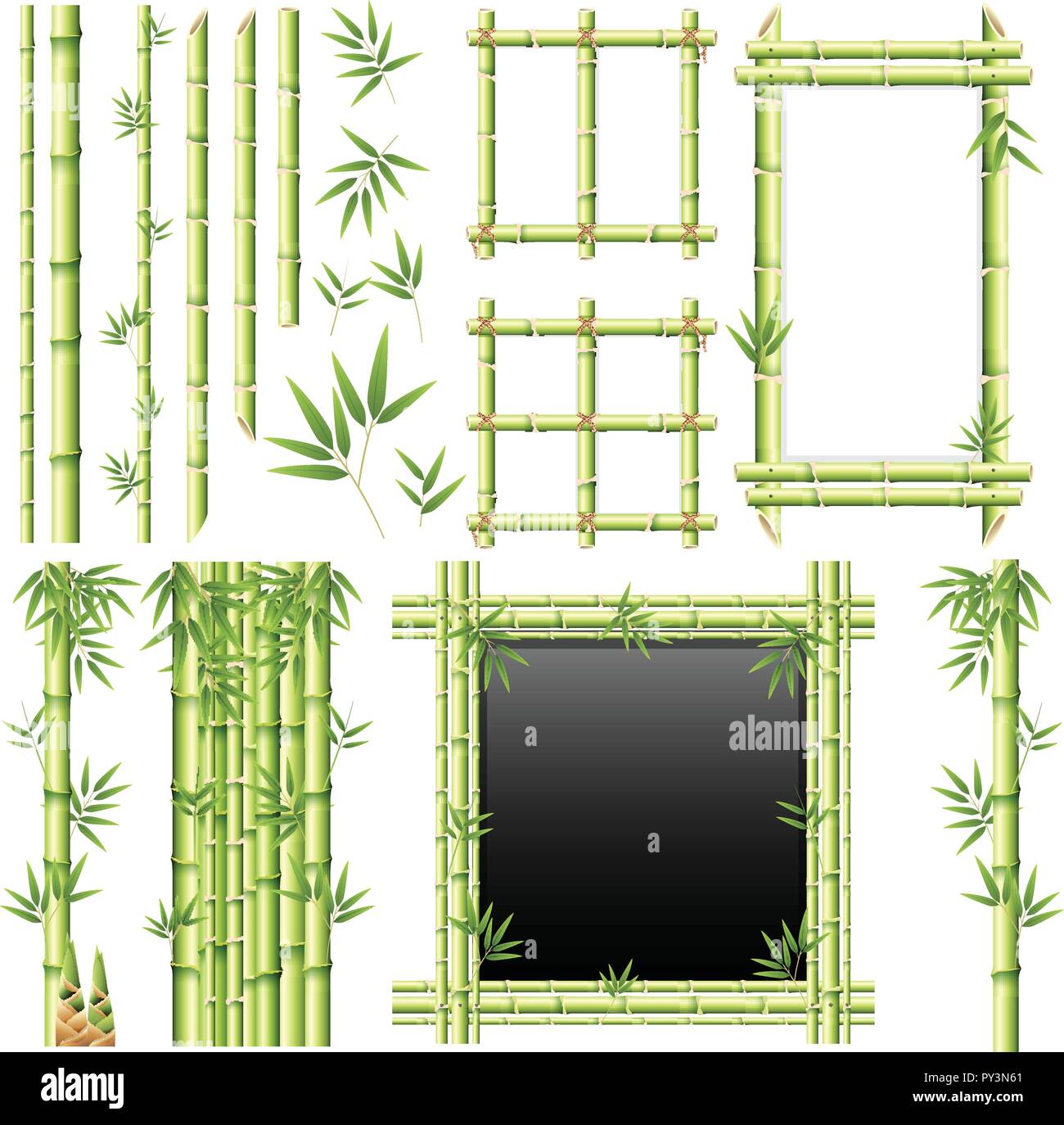 A set of bamboo element illustration Stock Vector Image & Art - Alamy