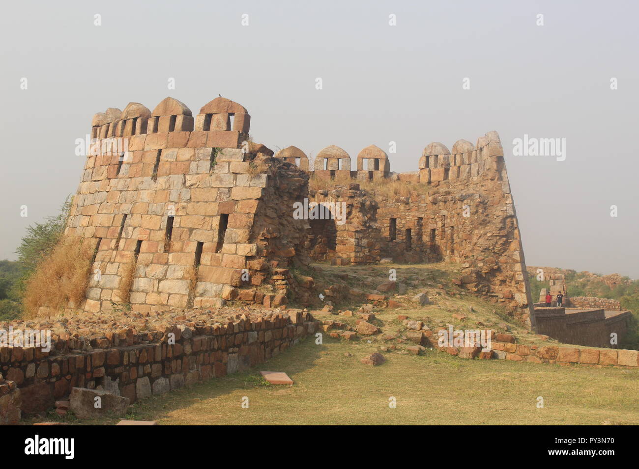 STONE ART, TUGHLAKABAD FORT, NEW DELHI Stock Photo - Alamy