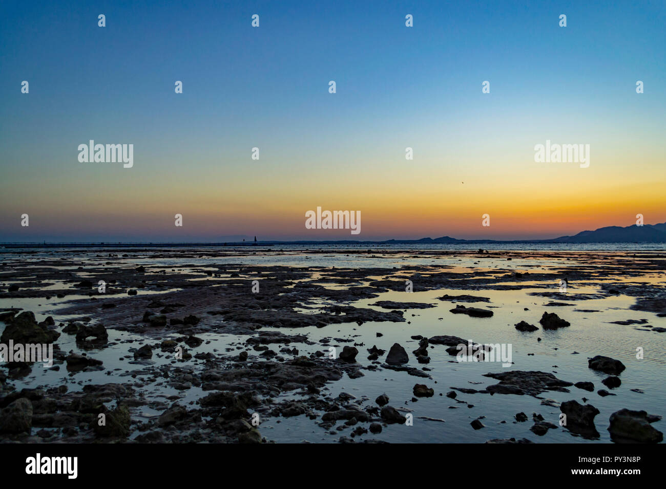 Beautiful tropical seascape. Sunset on Red Sea. Sinai, Egypt Stock ...