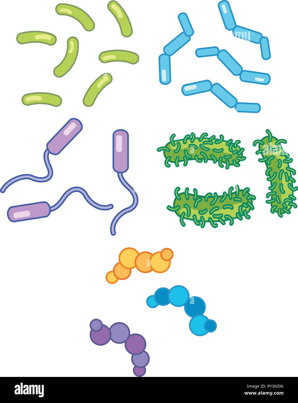 Bacteria cell image Stock Vector Images - Alamy