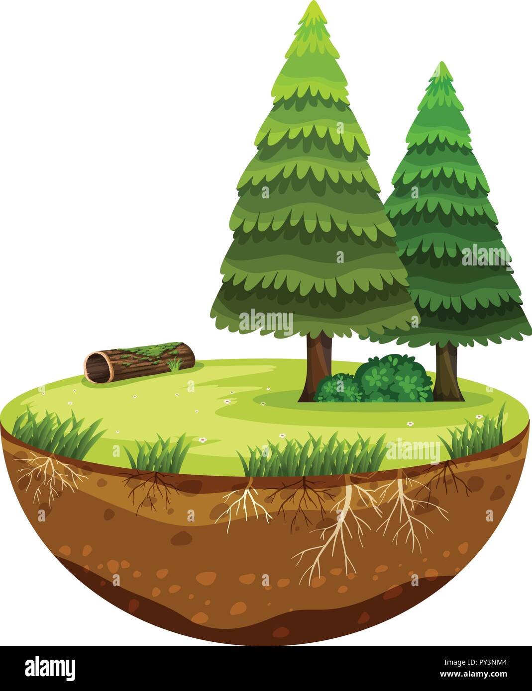 A Round Forest Landscape illustration Stock Vector Image & Art - Alamy