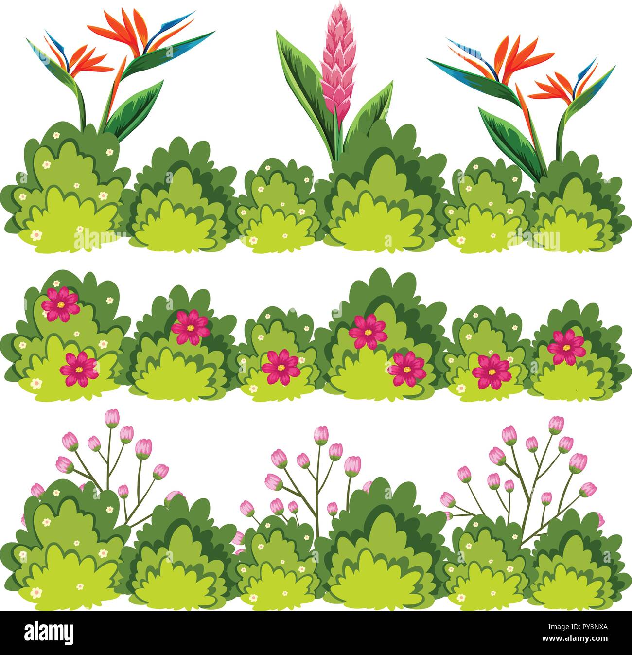 A set of flower bush illustration Stock Vector Image & Art - Alamy