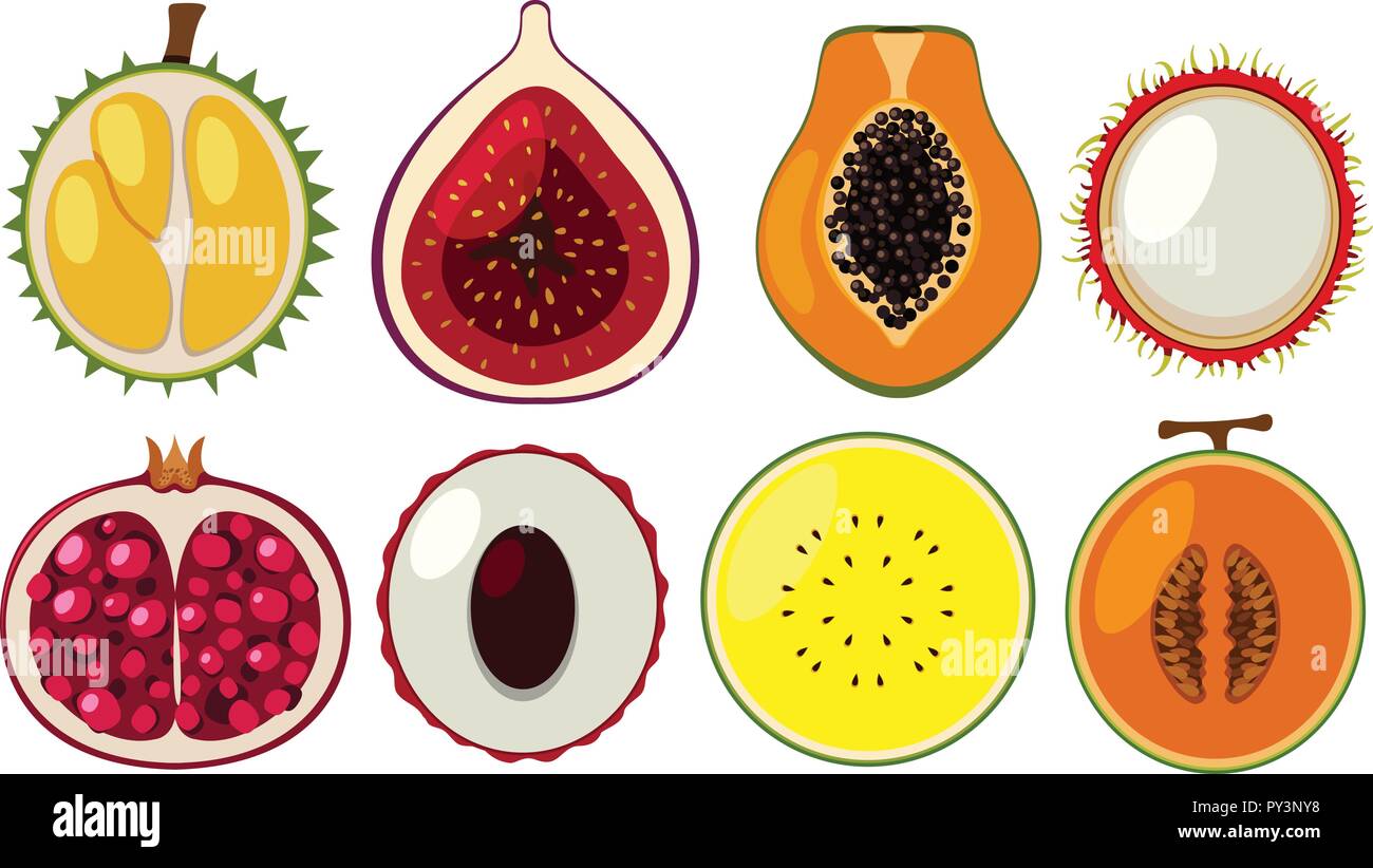 Set of different fruits illustration Stock Vector Image & Art - Alamy