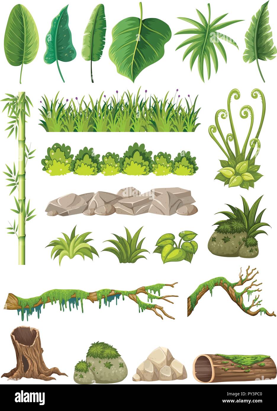 Set of various jungle objects illustration Stock Vector Image & Art - Alamy