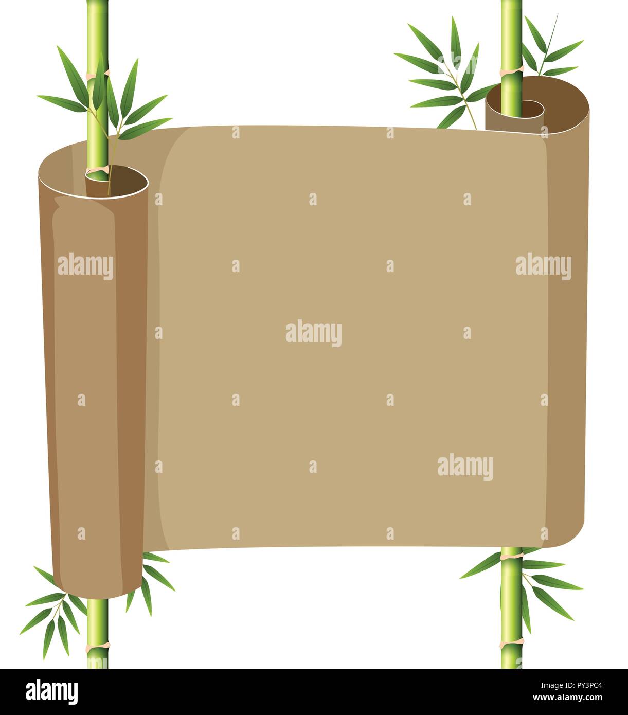 paper scroll with bamboo illustration Stock Vector Image & Art - Alamy