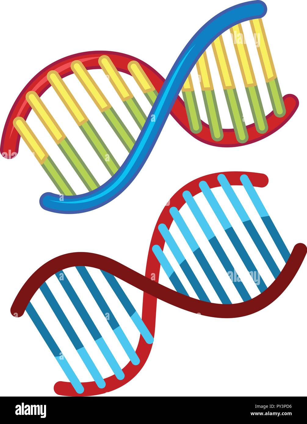 Set of DNA diagram illustration Stock Vector Image & Art - Alamy