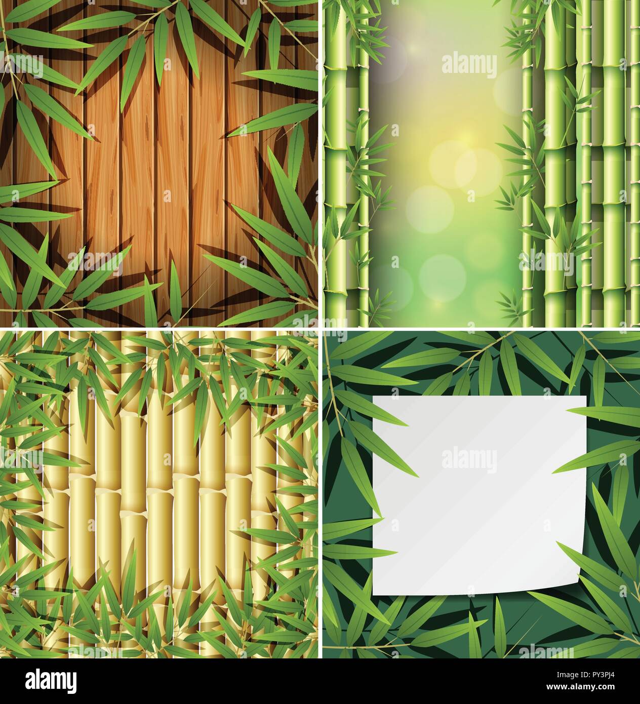 A Set of Bamboo Background illustration Stock Vector Image & Art - Alamy