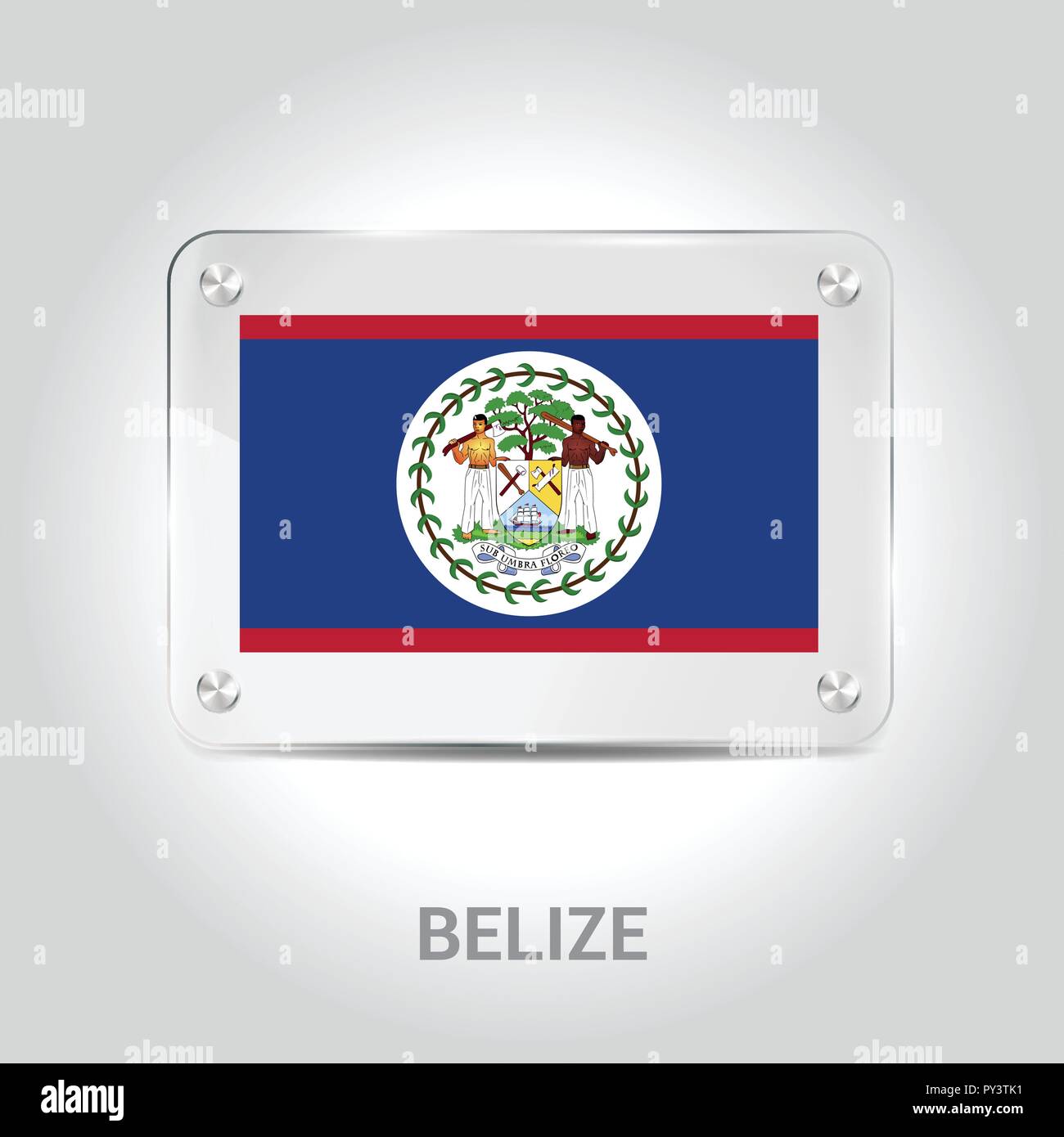 National flag of belize waving Stock Vector Images - Alamy