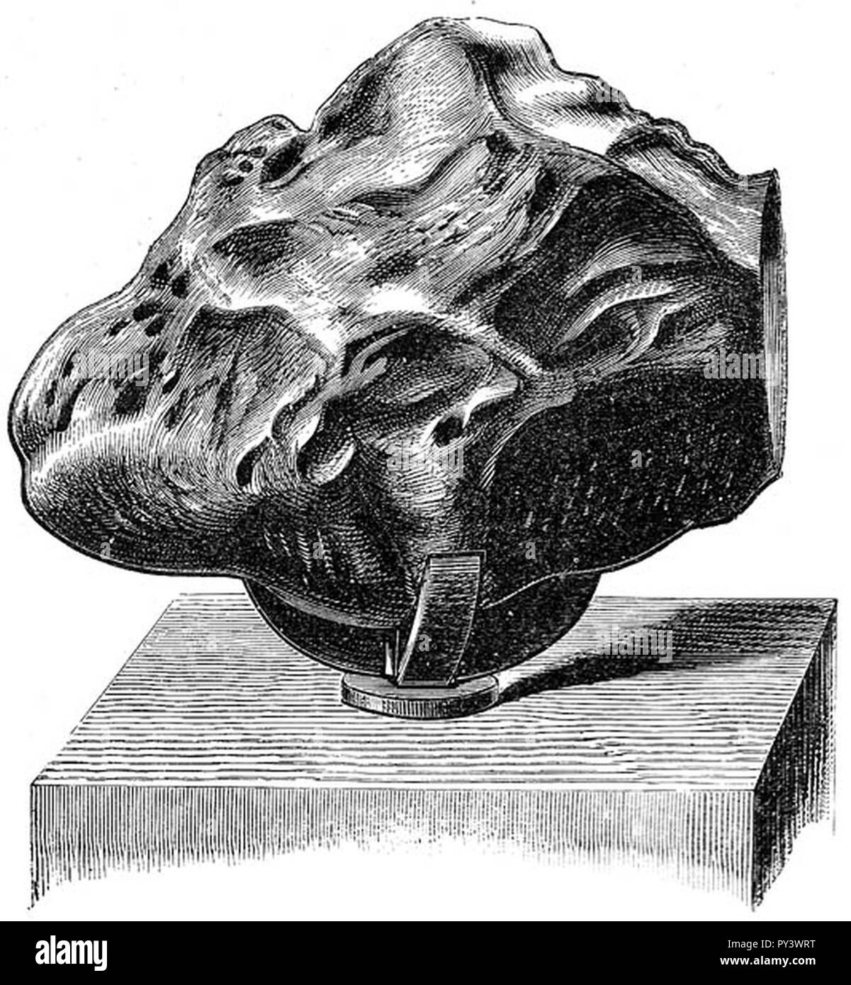 Campo del Cielo meteorite NHM drawing Stock Photo - Alamy