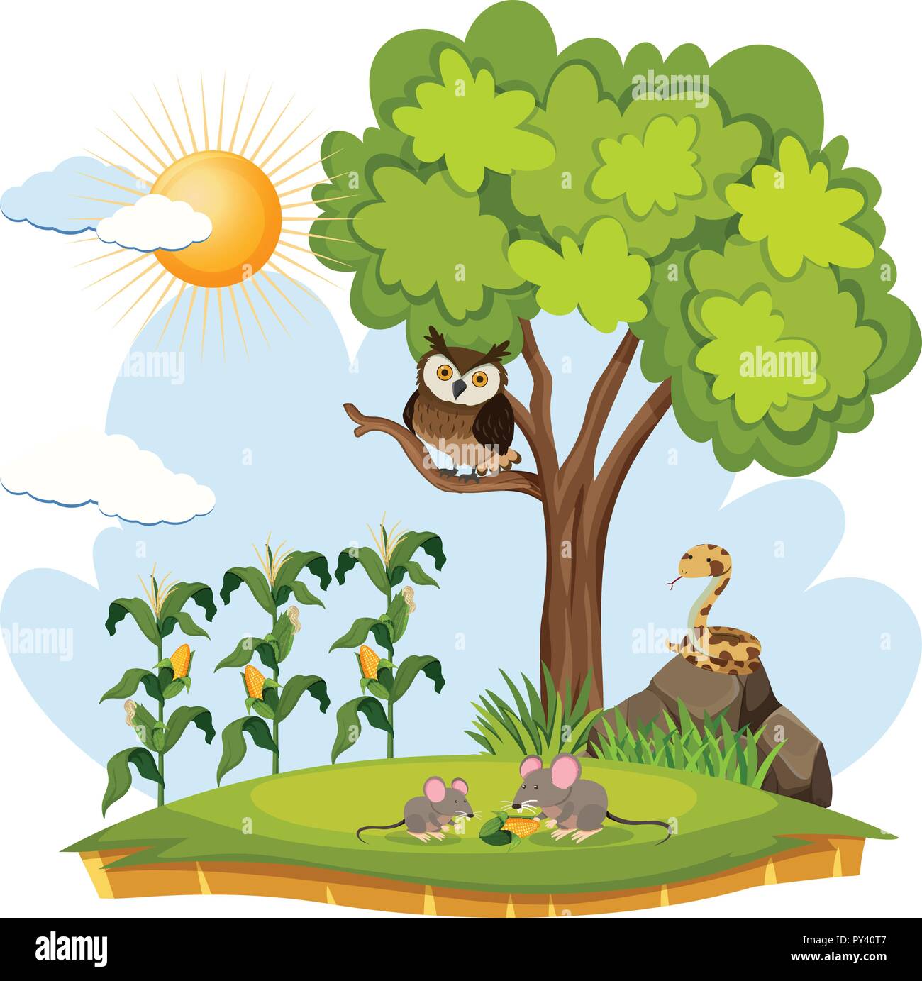 Crop Farm and Wild Animals illustration Stock Vector Image & Art - Alamy