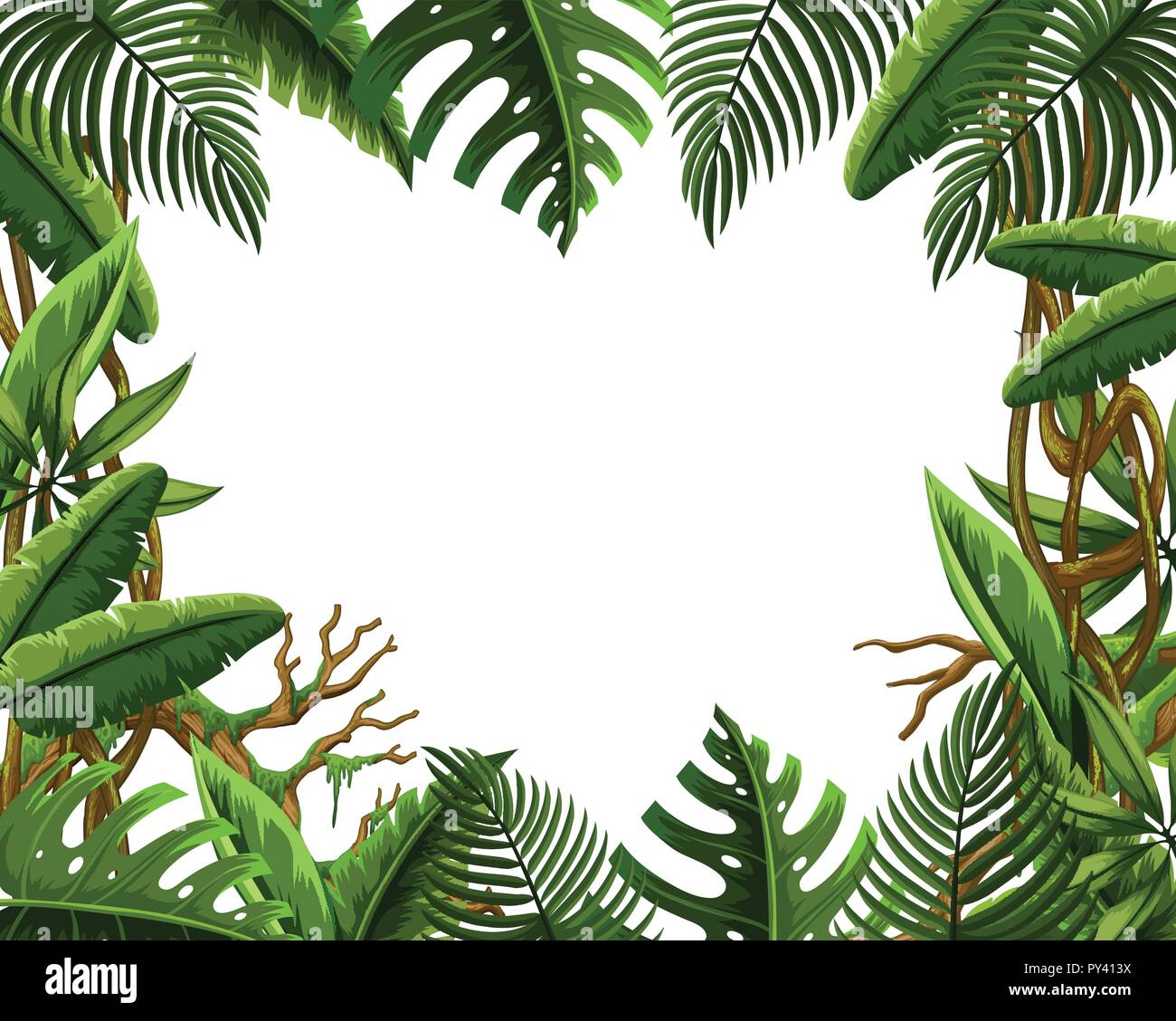 Blank jungle leave frame illustration Stock Vector Image & Art - Alamy