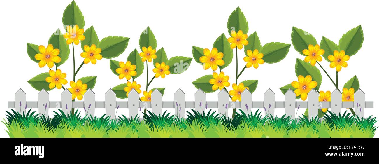 A beautiful flower fence illustration Stock Vector Image & Art - Alamy