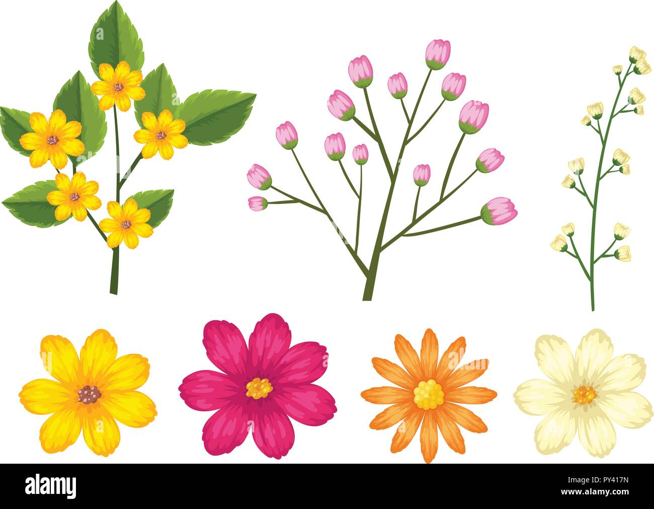 A set of beautiful flower illustration Stock Vector Image & Art - Alamy