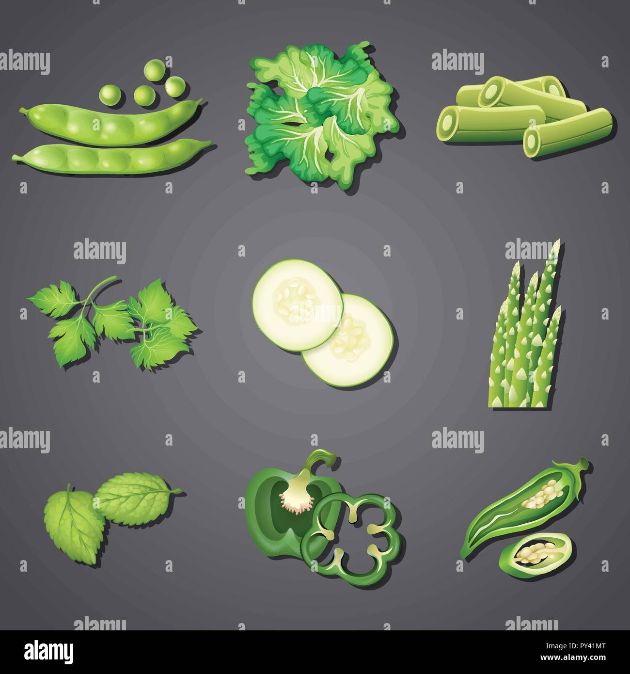 A Set of Fresh Green Vegetable illustration Stock Vector Image & Art ...