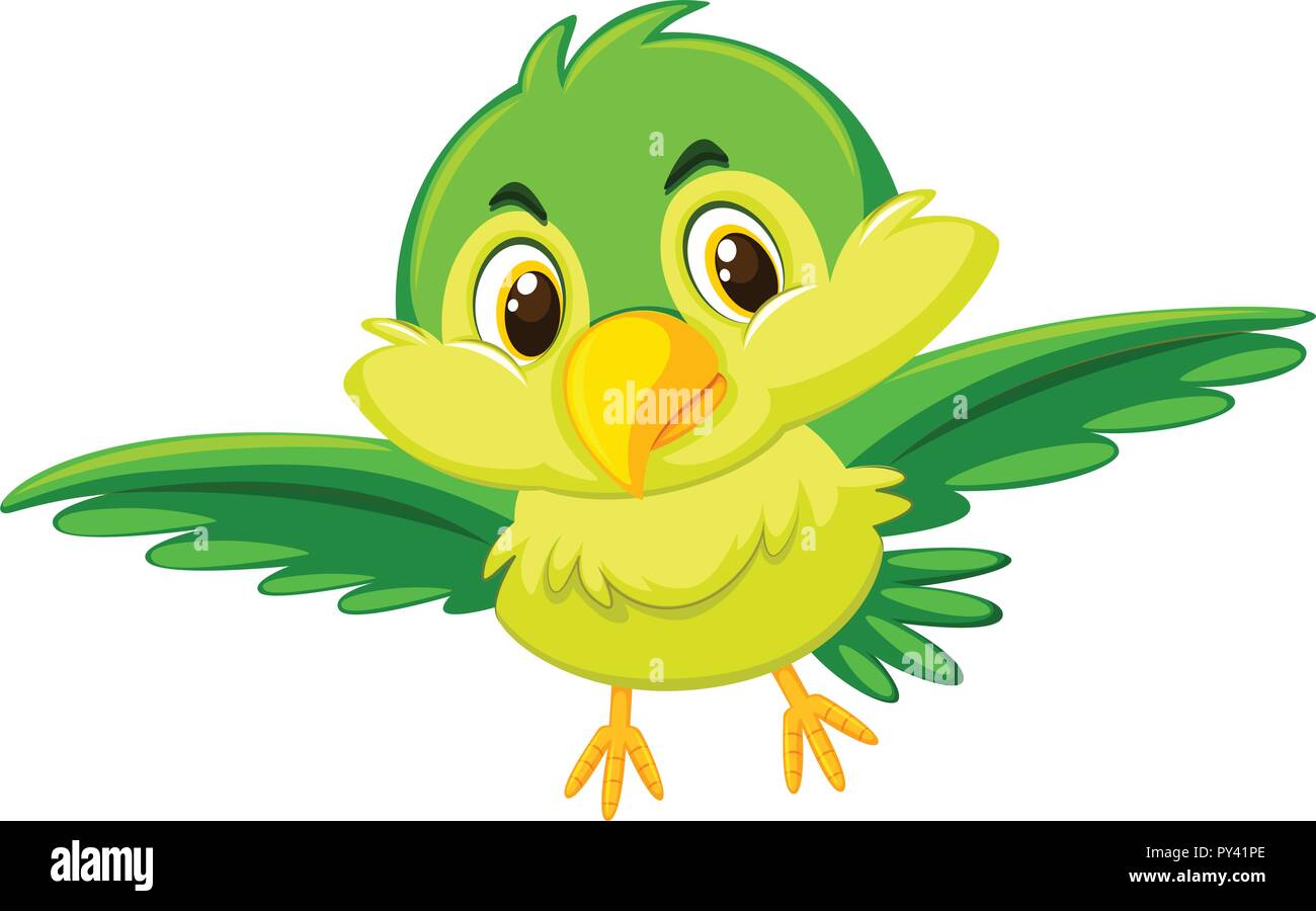 A cute green bird illustration Stock Vector Image & Art - Alamy
