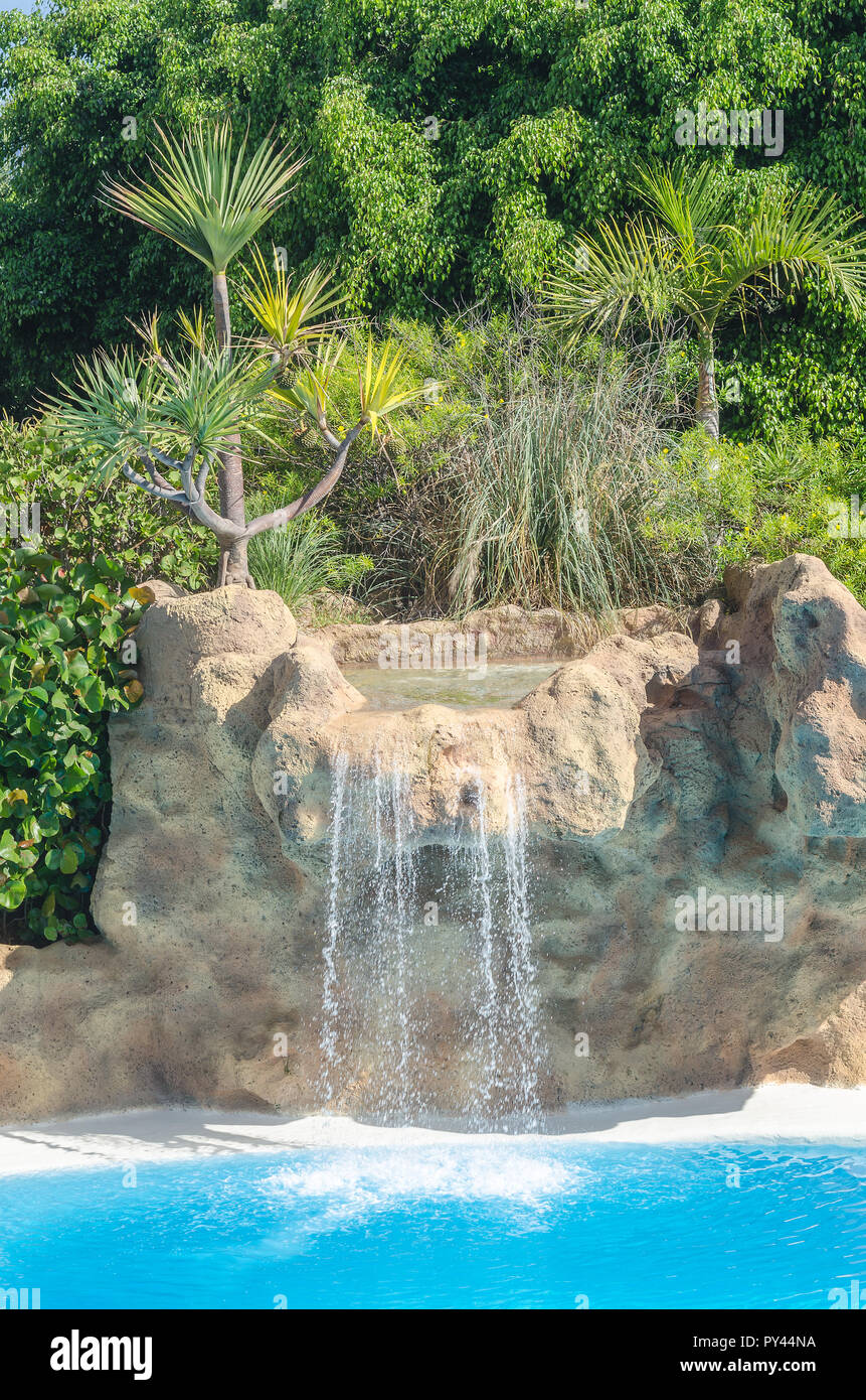 Pool jungle hi-res stock photography and images - Alamy