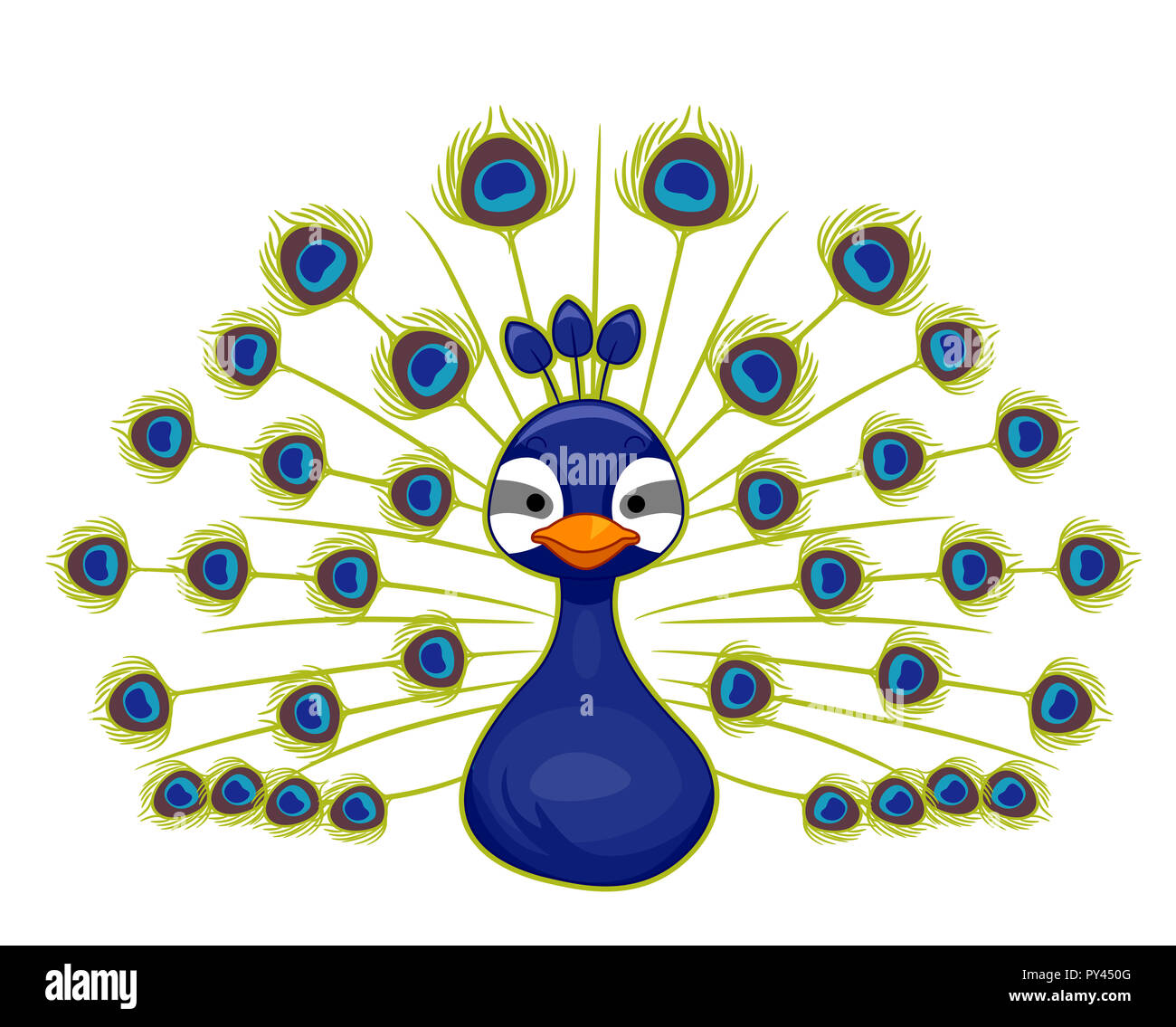 Illustration of a Peacock Fanning Out their Tails Stock Photo - Alamy