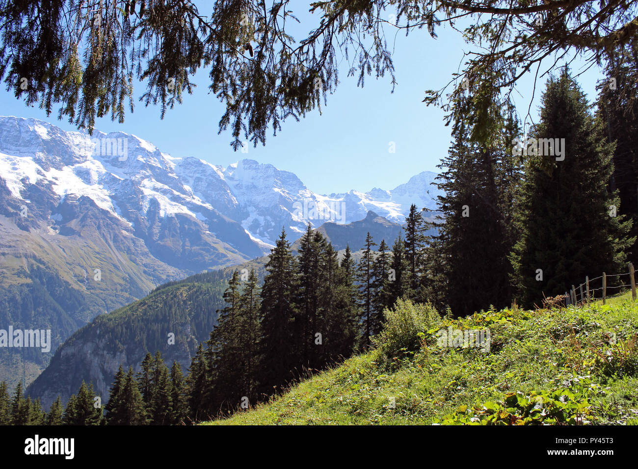 On the North Face trail above Murren Switzerland. Stunning views of the ...