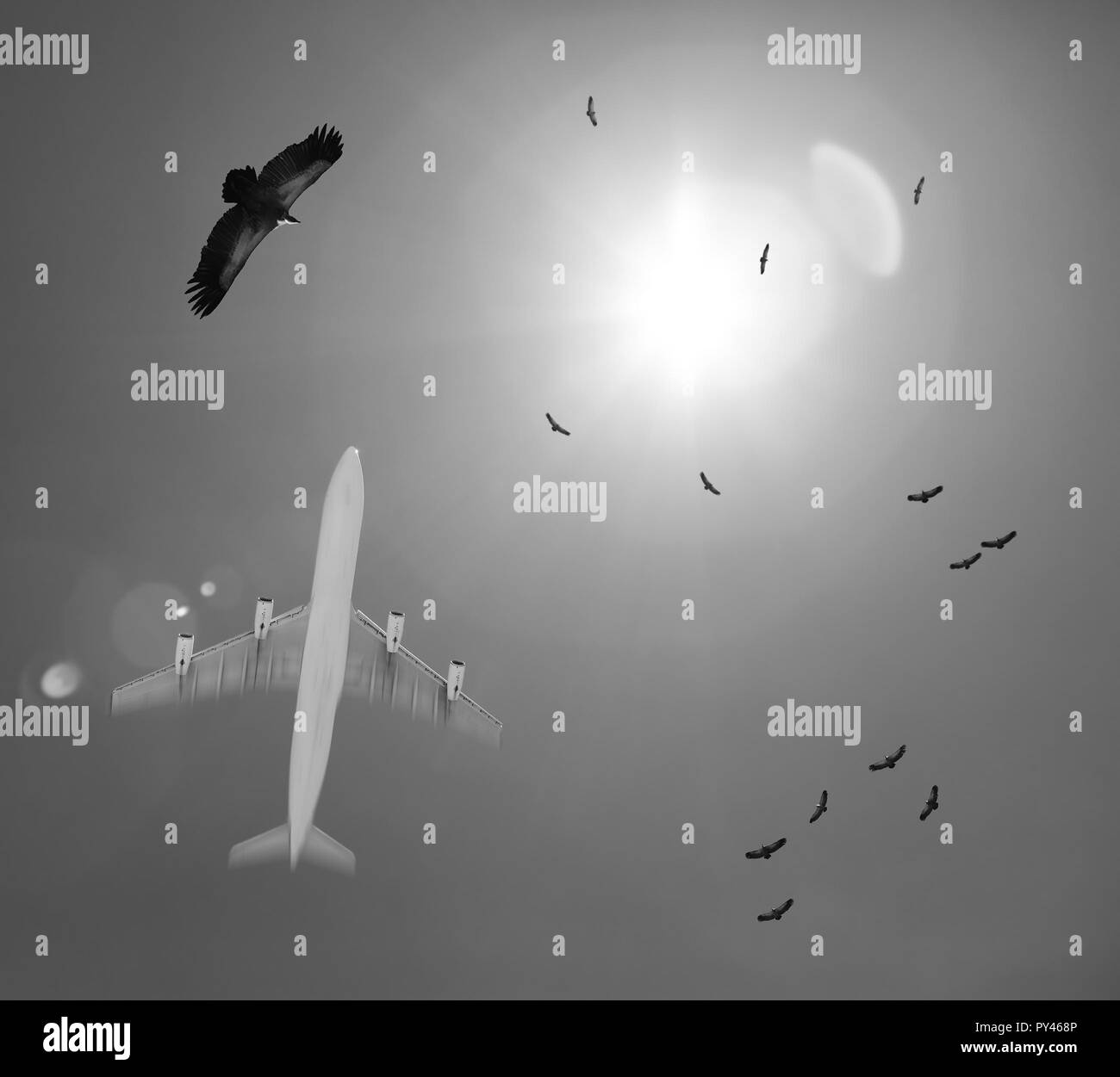 Humans versus nature hi-res stock photography and images - Alamy