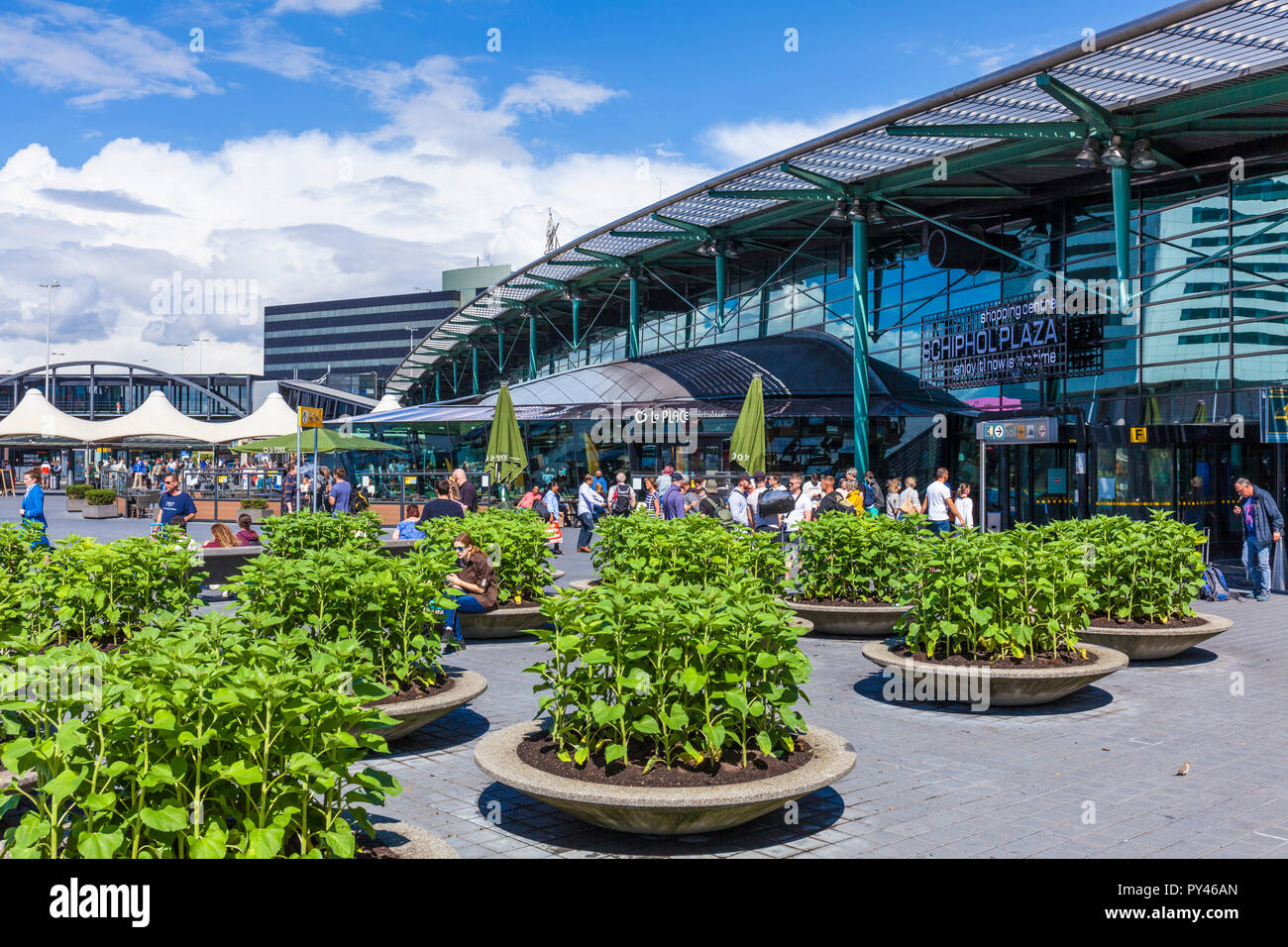 Amsterdam schipol hi-res stock photography and images - Alamy