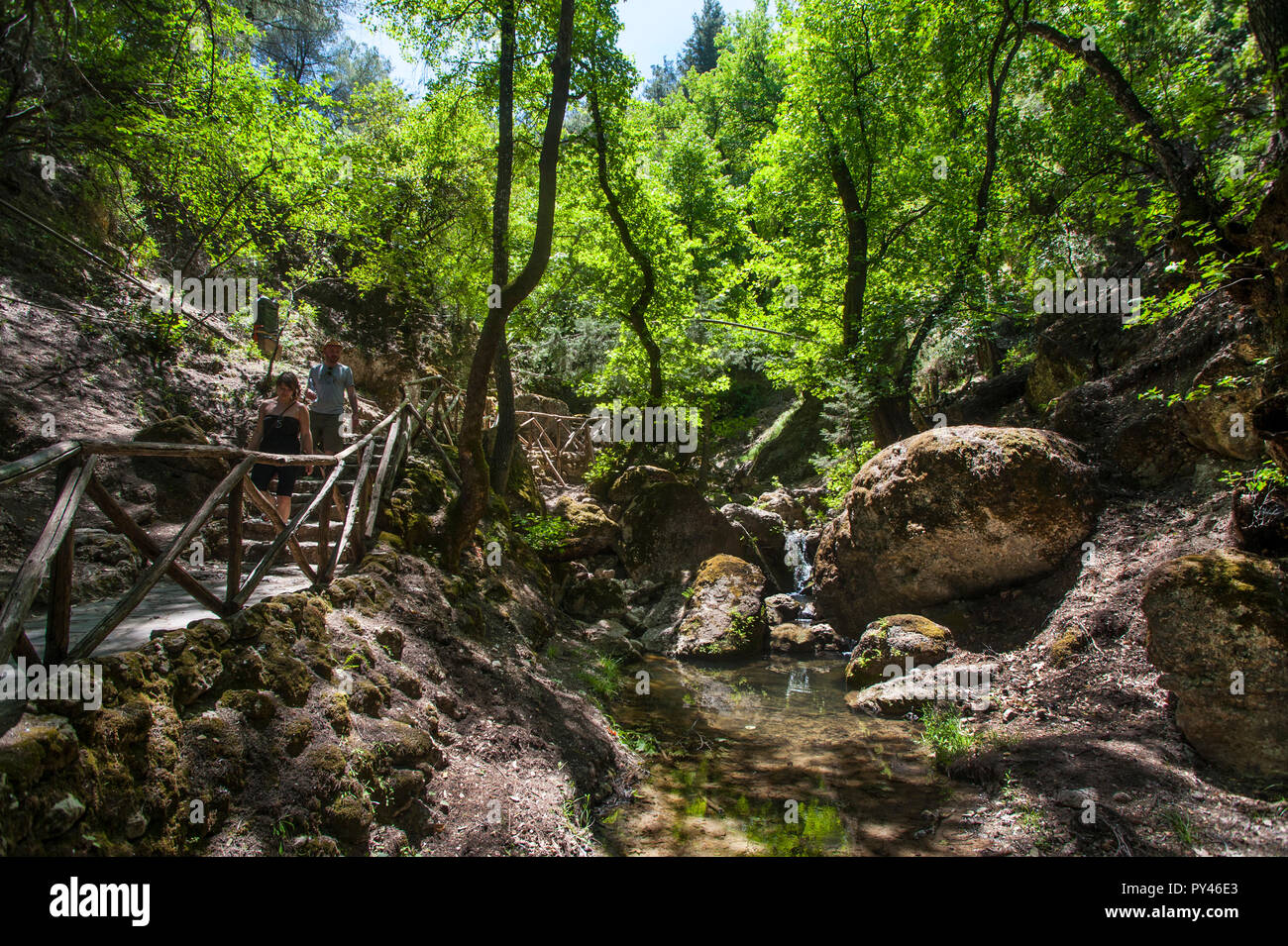 europe, greece, dodecanese, rhodes, butterfly, valley Stock Photo - Alamy