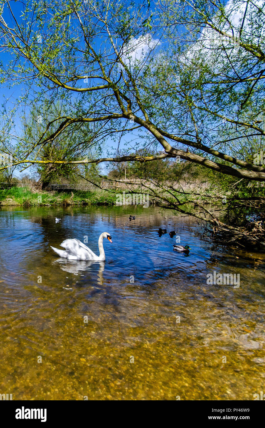 Beautiful Dedham vale in Essex, famous for John constable the famous ...