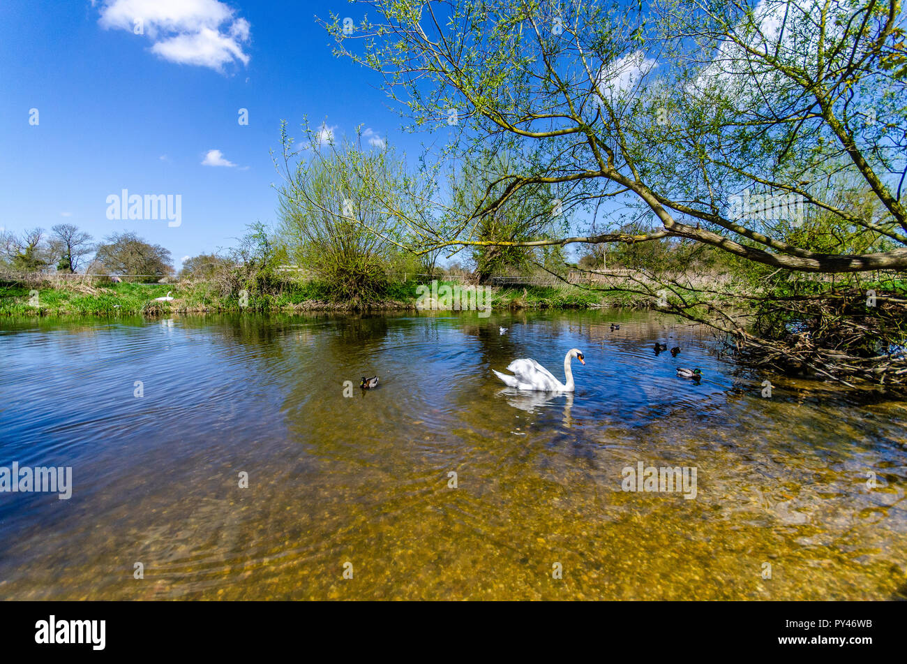 Beautiful Dedham vale in Essex, famous for John constable the famous ...