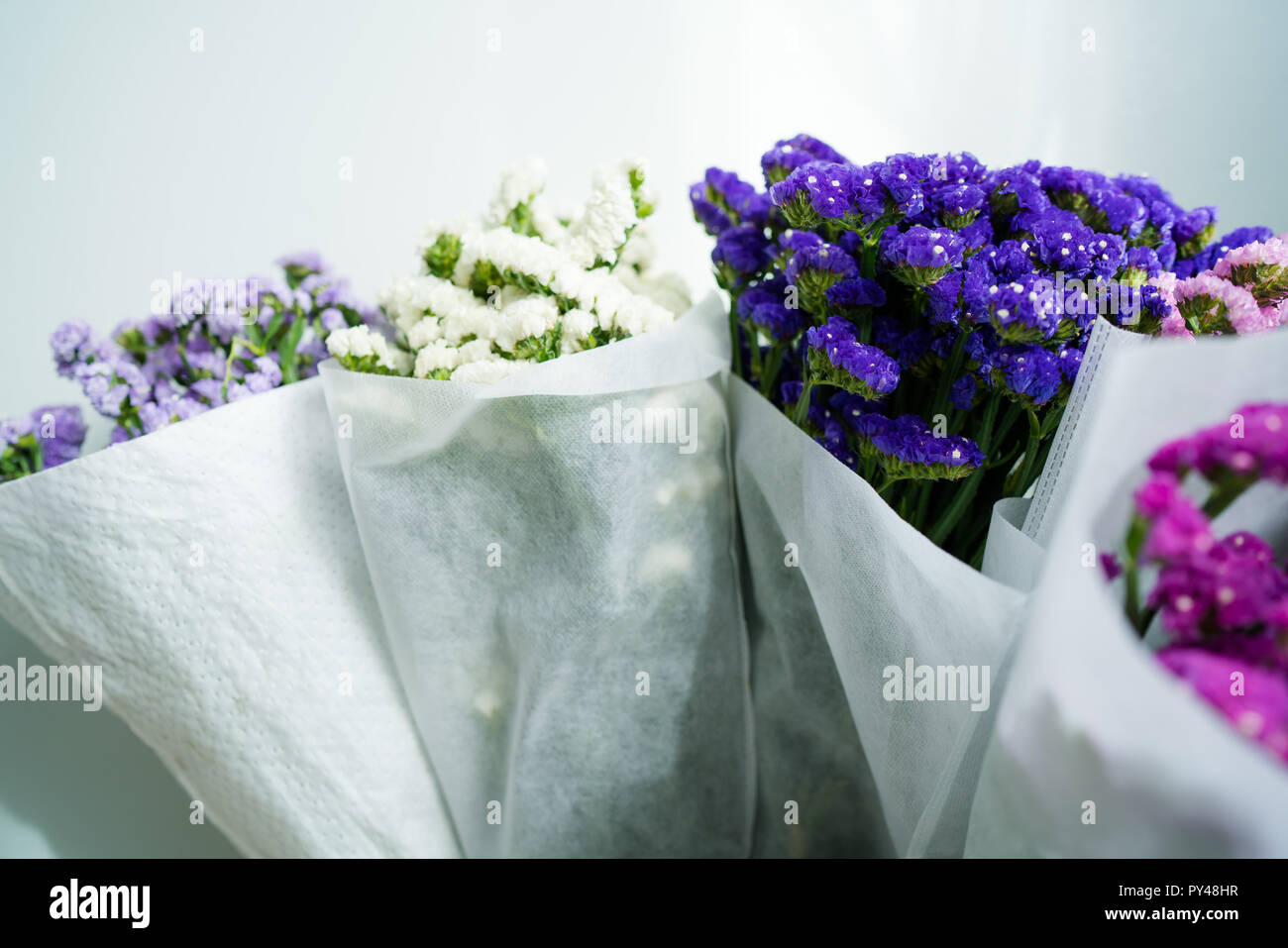 beautiful colorful fresh statice flower in the flower market Stock ...