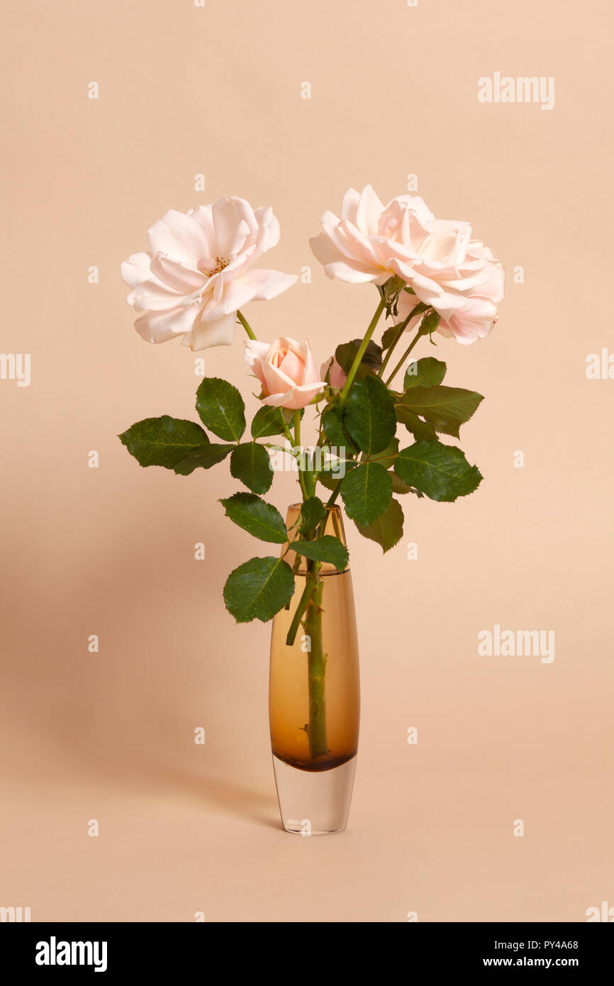 Glass vase roses hi-res stock photography and images - Alamy