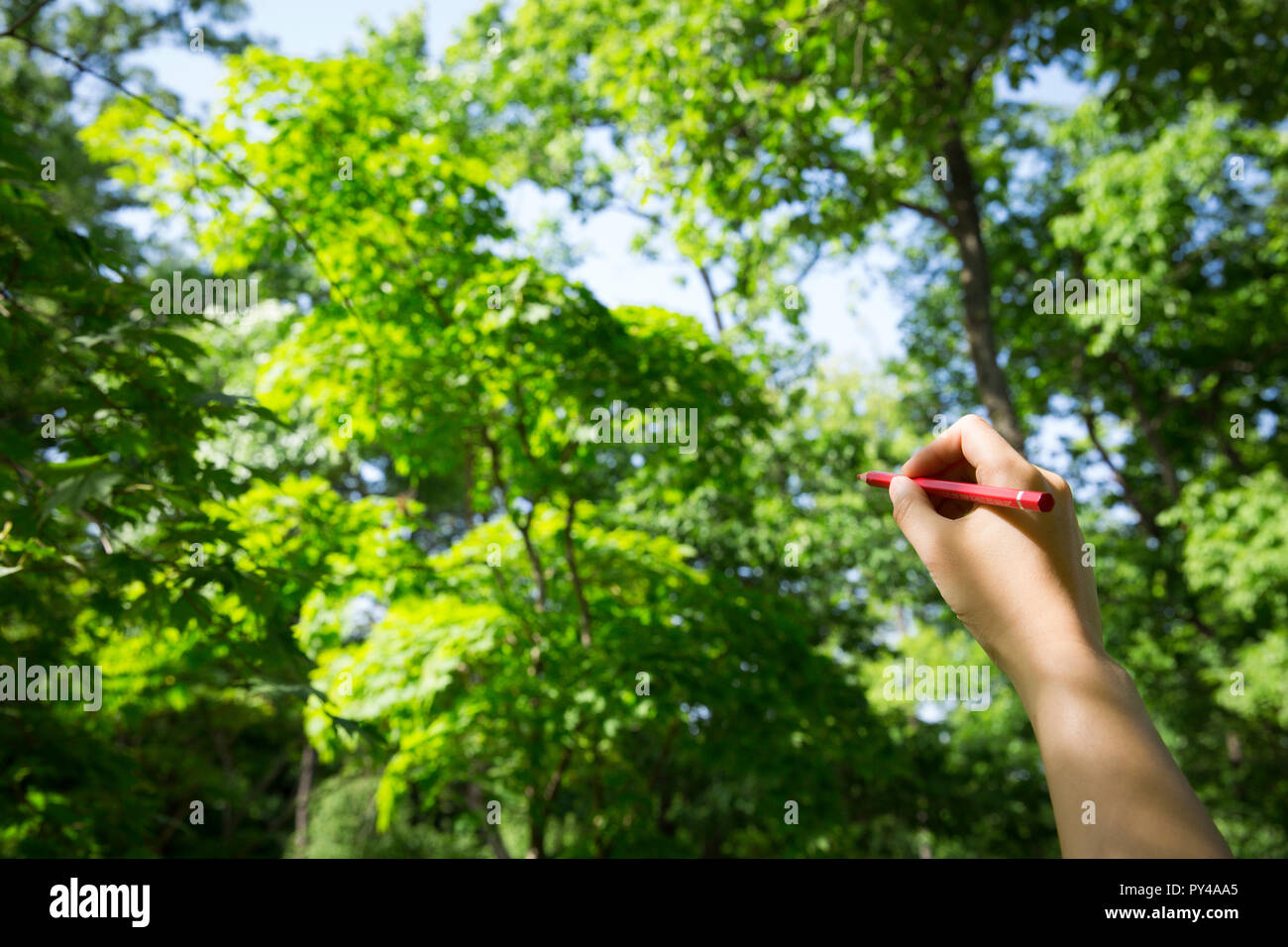 Greenery Concept photo, relaxing in nature. eco life and healing. 104 ...