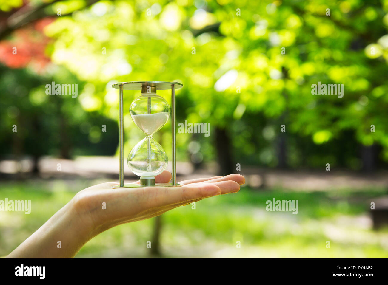 Greenery Concept photo, relaxing in nature. eco life and healing. 103 ...