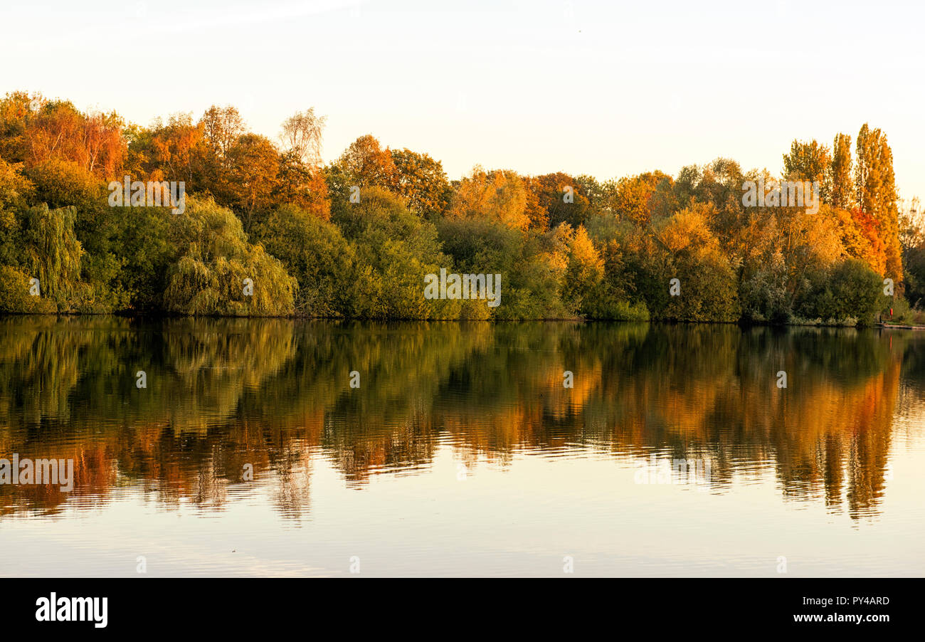 Autumn Reflections at Colwick Country Park in Nottingham ...