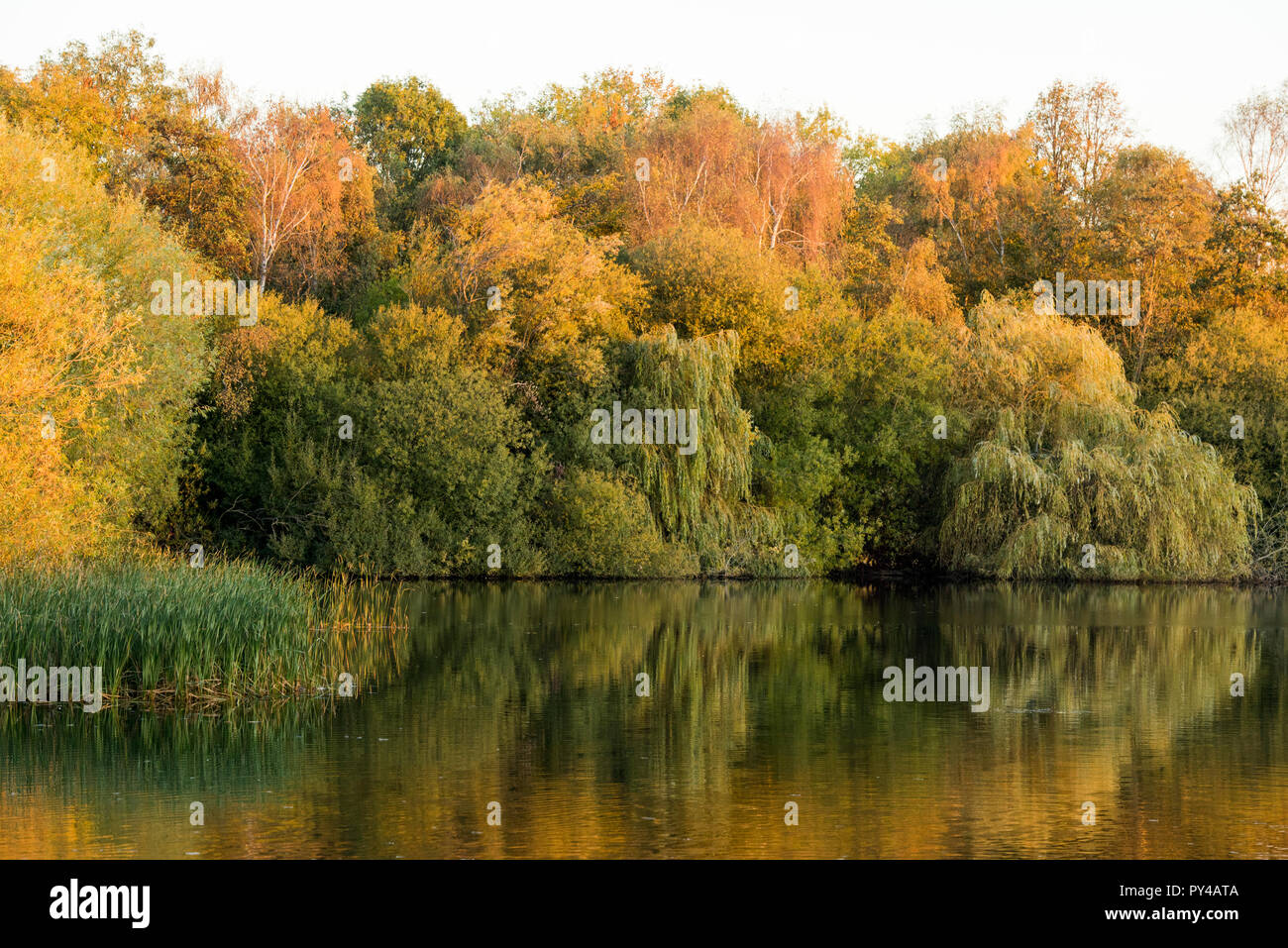 Autumn Reflections at Colwick Country Park in Nottingham ...