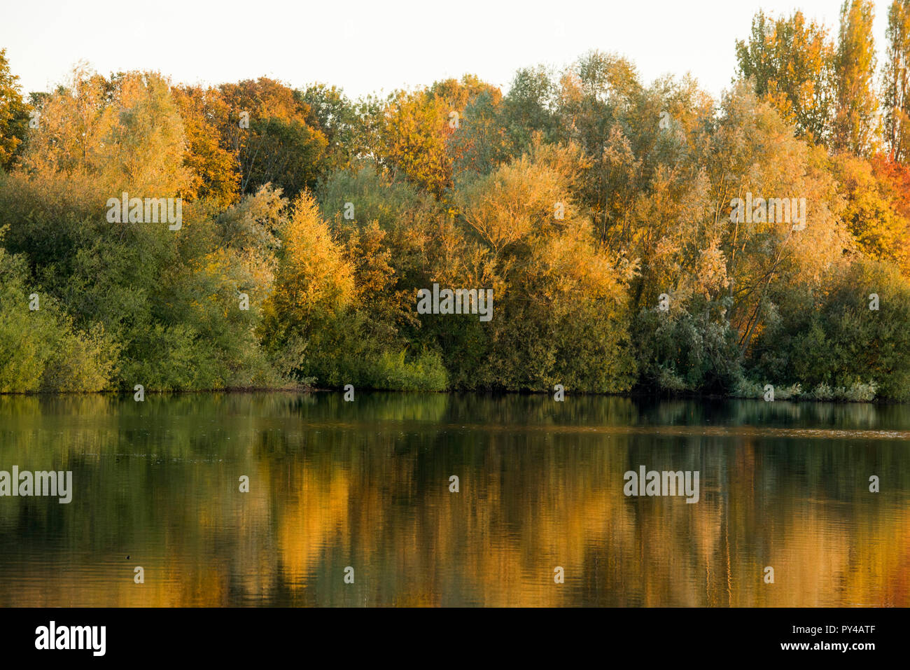 Autumn Reflections at Colwick Country Park in Nottingham ...