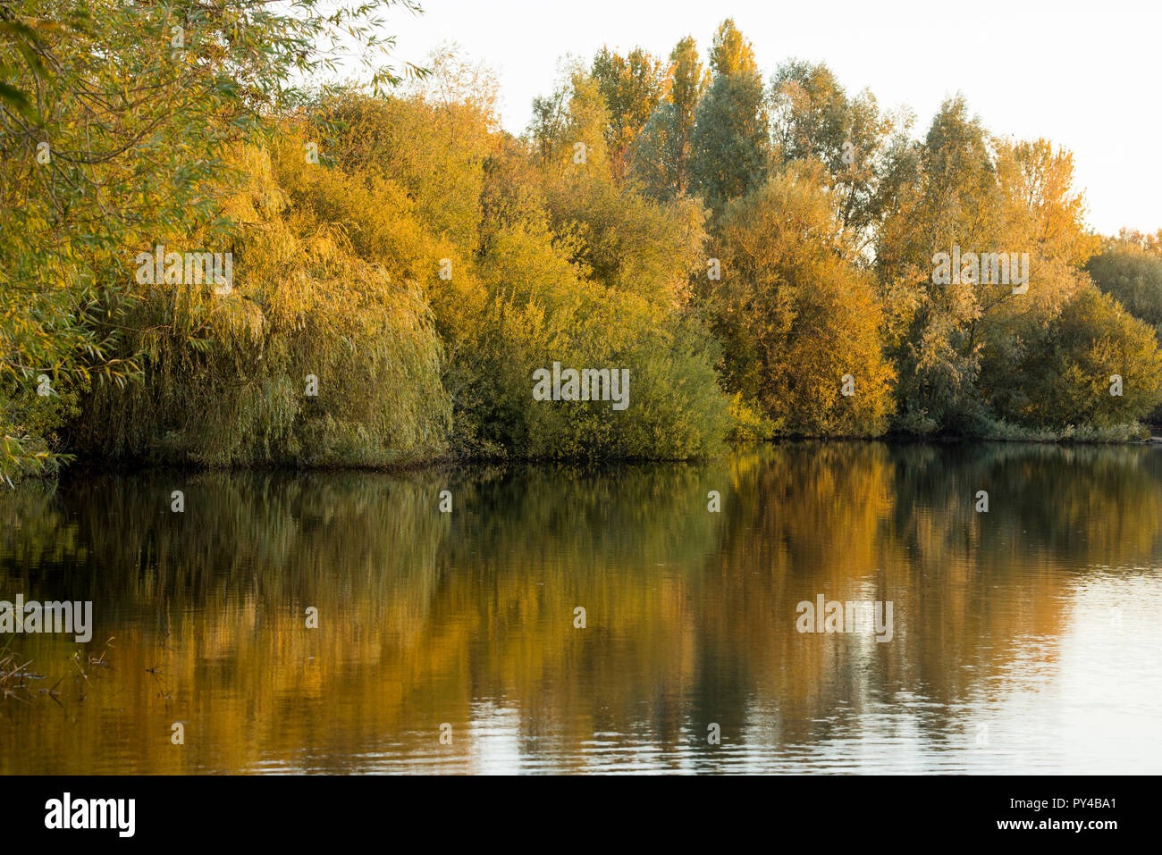 Autumn Reflections at Colwick Country Park in Nottingham ...