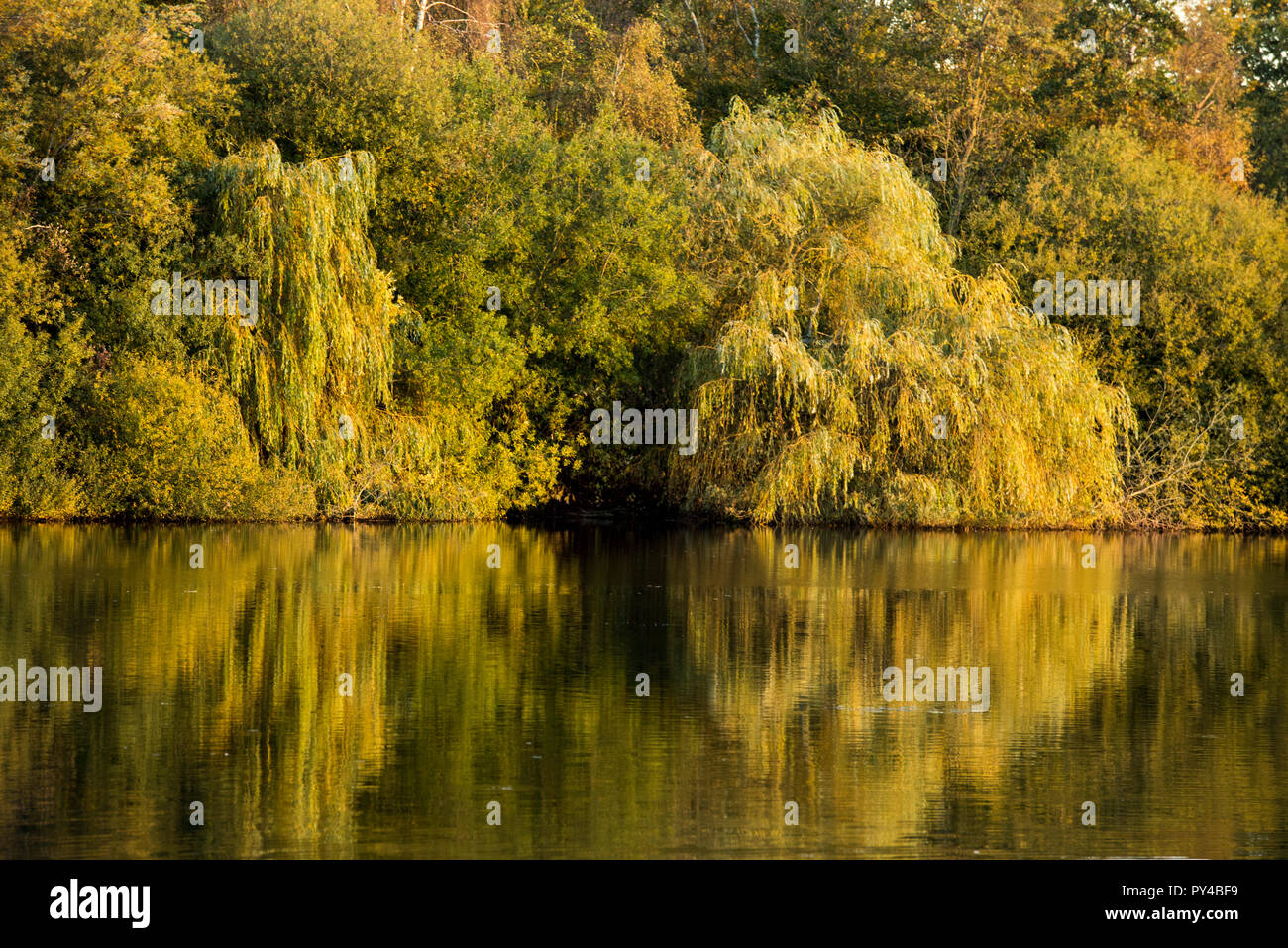 Autumn Reflections at Colwick Country Park in Nottingham ...