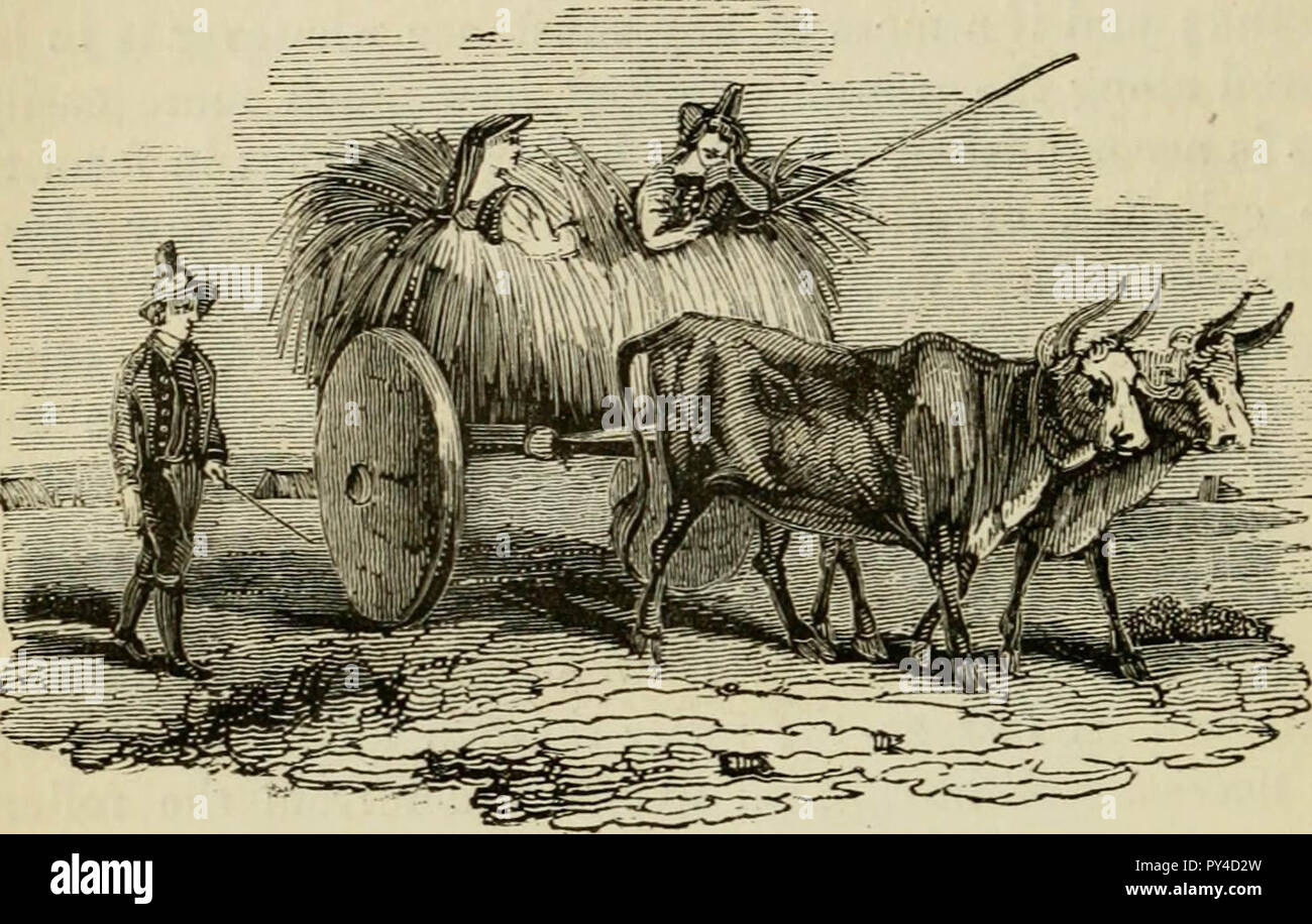 "The roads and railroads, vehicles, and modes of travelling, of ancient ...