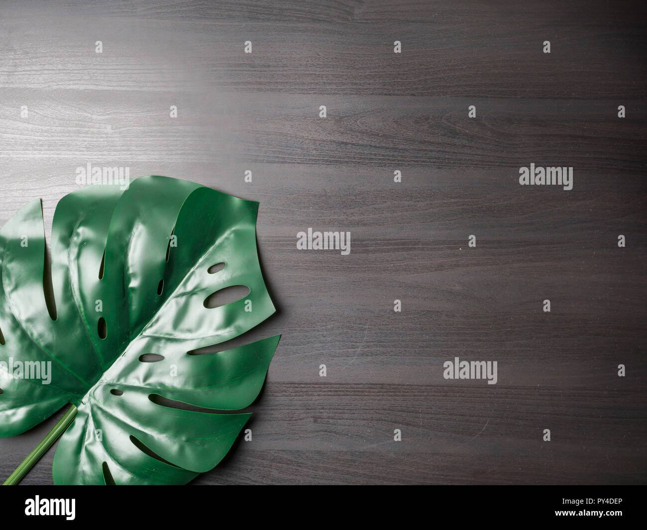 Monstera leaf on black wooden table. Tropical plant monstera on dark ...