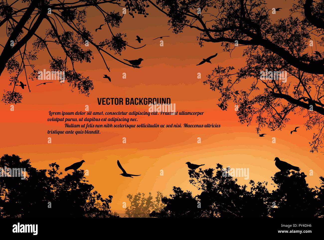 Birds in the tree and flying over sunset background, vector ...