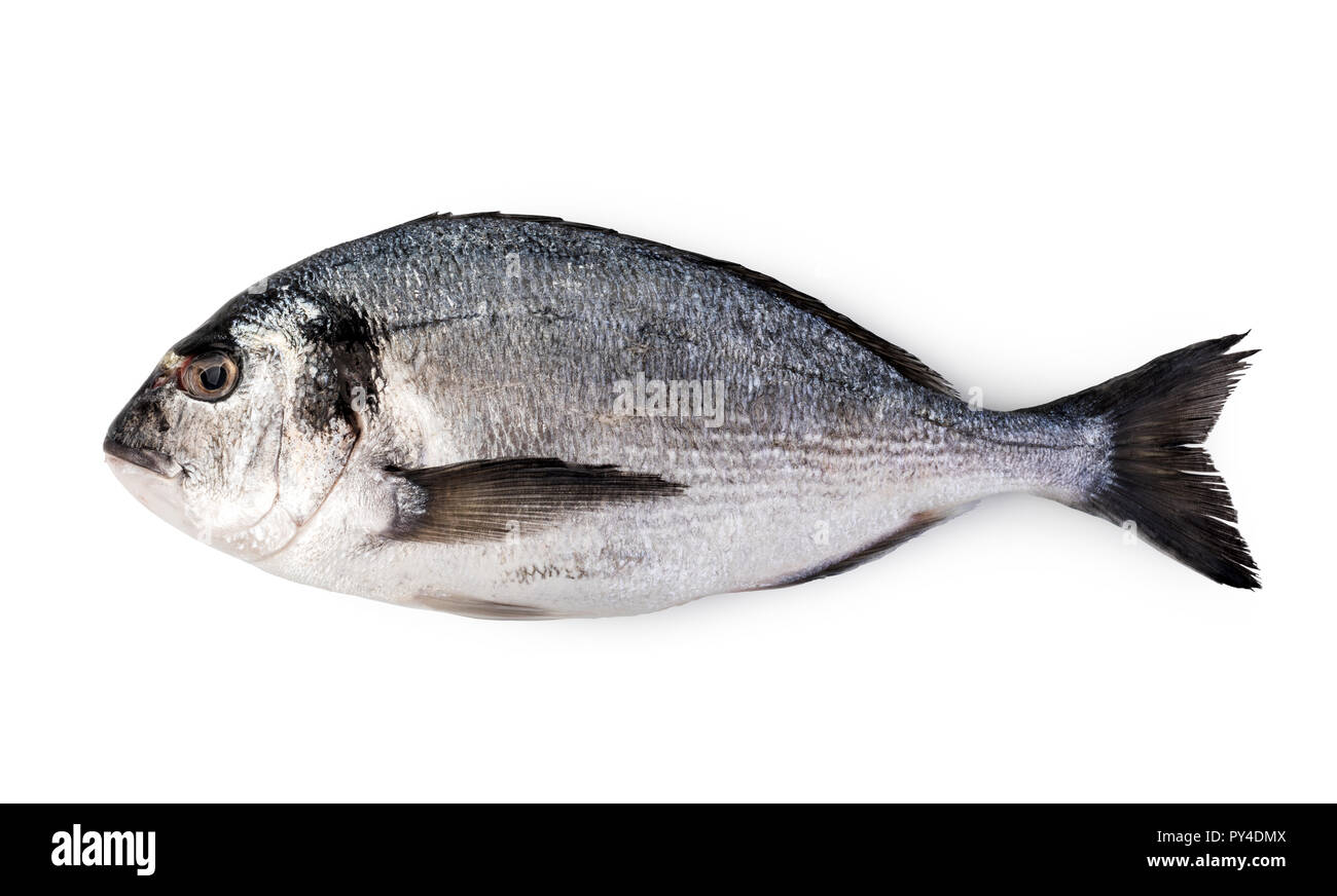 Fresh Dorado Fish isolated on white background ingredients for cooking ...