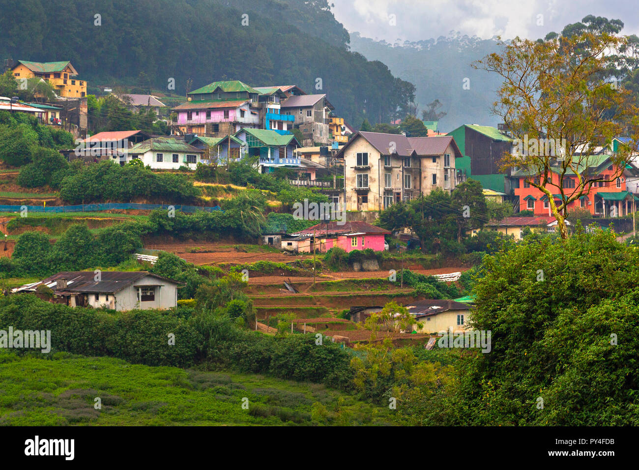 Sri lanka nuwara eliya mountain hi-res stock photography and images - Alamy