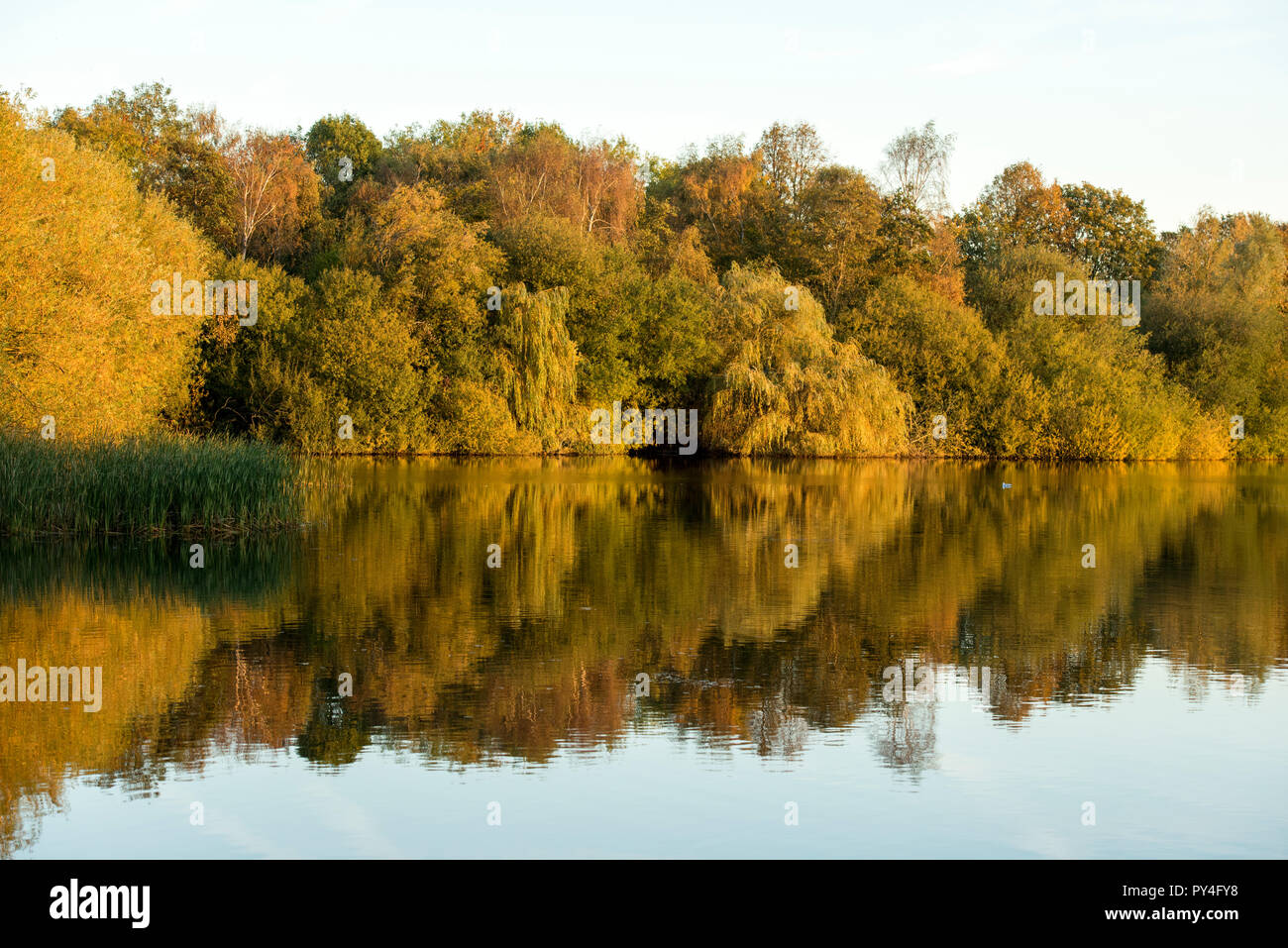 Autumn Reflections at Colwick Country Park in Nottingham ...