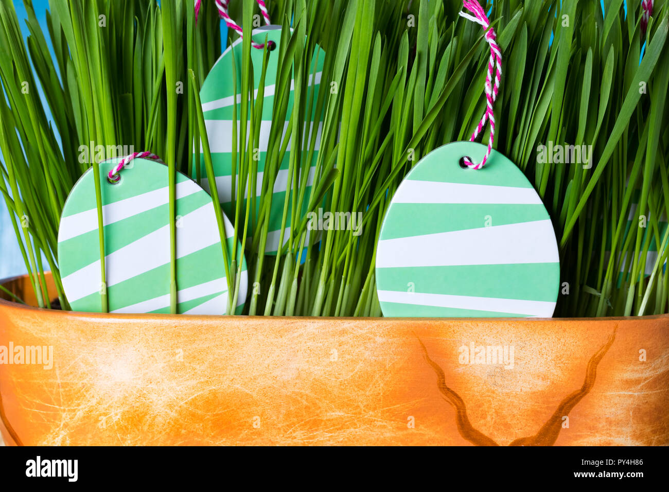 Easter eggs in green grass during spring Stock Photo - Alamy