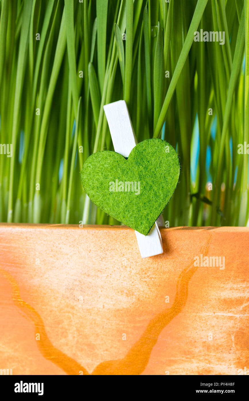 Greenery color themed heart in the grass. Spring time love abstract ...