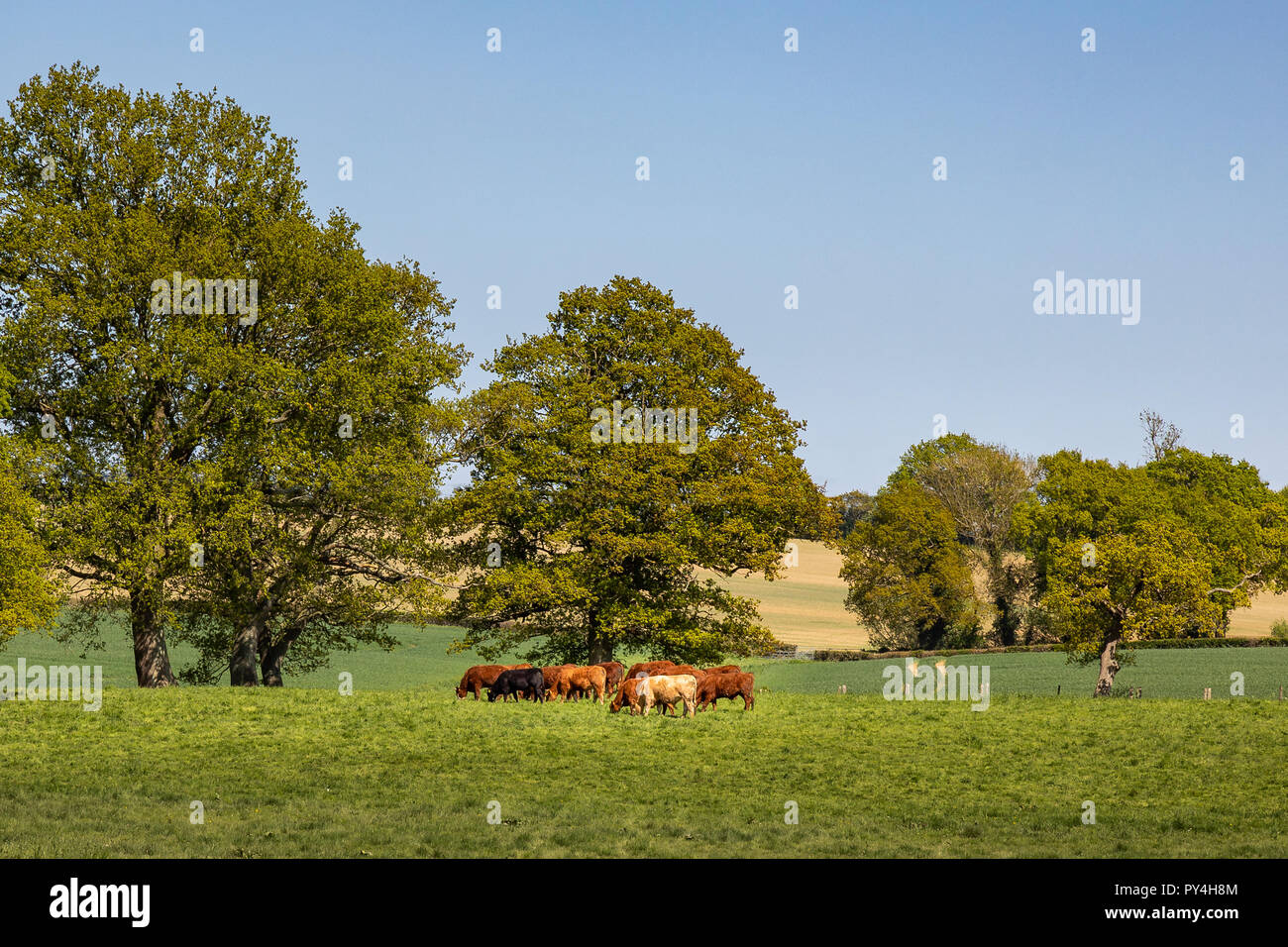 Footpaths and roads Billingshurst West Sussex UK Stock Photo - Alamy