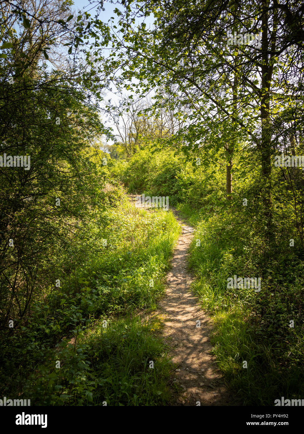 English billingshurst sussex hi-res stock photography and images - Alamy