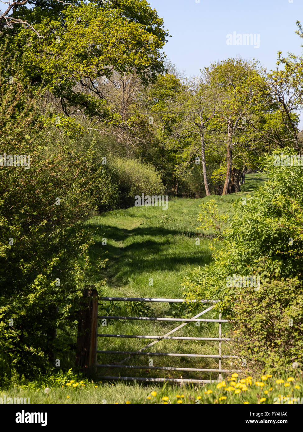 Footpaths and roads Billingshurst West Sussex UK Stock Photo - Alamy